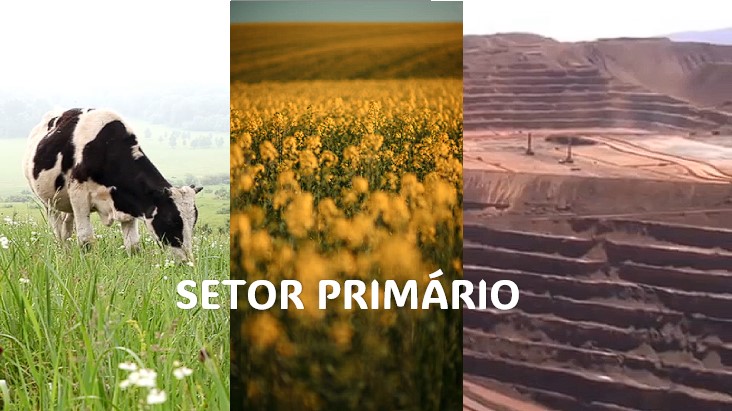 1. Setores da economia – ciências humanas e sociais aplicadas