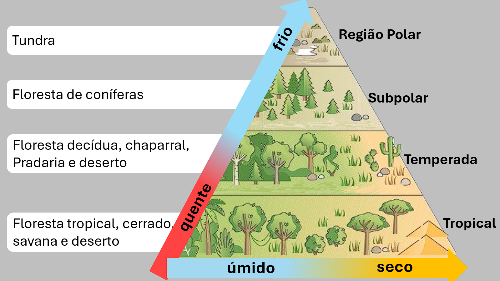 12. Principais biomas da Terra – ciências humanas e sociais aplicadas